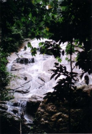 Sungei Ampang waterfalls