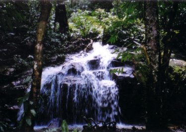Sungei Ampang waterfalls